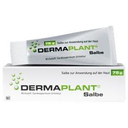 Dermaplant Salbe 75 g