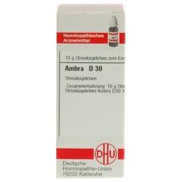 DHU-Arzneimittel Ambra D 30 Globuli 10 g