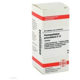 DHU-Arzneimittel Harpagophytum Procumbens D 12 Tabletten 80 St