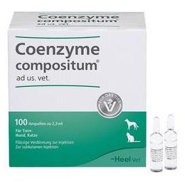 Heel Coenzyme Compositum ad us.vet.Ampullen 100 St