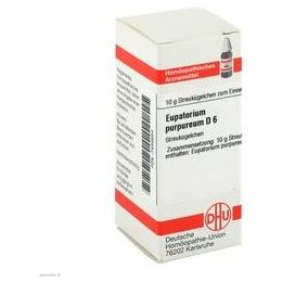DHU-Arzneimittel Eupatorium Purpureum D 6 Globuli 10 g