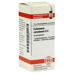 DHU-Arzneimittel Collinsonia Canadensis D 4 Globuli 10 g