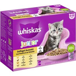 whiskas Katzenfutter Multipack Junior, Geflügel Auswahl in Gelee 12 x 85g