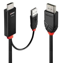 Lindy HDMI / DisplayPort Adapterkabel HDMI-A Stecker, DisplayPort Stecker 1 m Schwarz 41498 DisplayPort-Kabel
