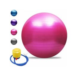 Meditrade GmbH Trade Shop Traesio - yoga gymnastikball mit pumpe für pilates fitness übungen 55CM Pink - Pink