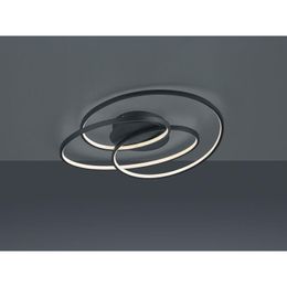 Trio Leuchten - Große led Deckenlampe gale Ringleuchte mit Switch Dimmer 60cm breit Schwarz matt