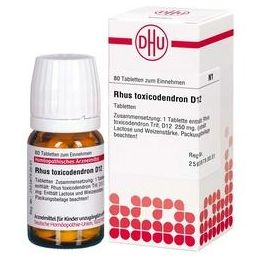 DHU-Arzneimittel Rhus Toxicodendron D 12 Tabletten 80 St