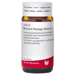 Dr. Hauschka Bronchi Plantago Globuli velati 20 g