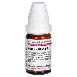 DHU-Arzneimittel Apis Mellifica D 6 Globuli 10 g