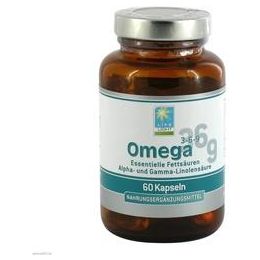 Apozen Omega-3-6-9 Kapseln 60 St