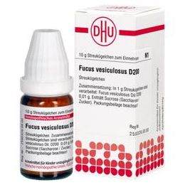 DHU-Arzneimittel Fucus Vesiculosus D 200 Globuli 10 g