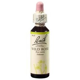 Bachblüten Wild Rose Tropfen 20 ml