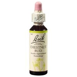 Bachblüten Chestnut Bud Tropfen 20 ml