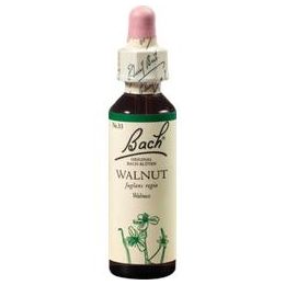 Bachblüten Walnut Tropfen 20 ml