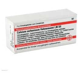 DHU-Arzneimittel Calcium Carbonicum Hahnemanni LM XII Globuli 5 g