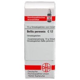 DHU-Arzneimittel Bellis Perennis C 12 Globuli 10 g
