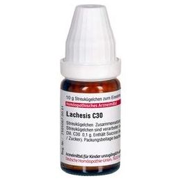 DHU-Arzneimittel Lachesis C 30 Globuli 10 g