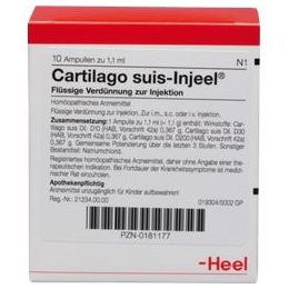 Heel Cartilago suis Injeel Ampullen 10 St