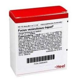 Heel Fucus Vesiculosus Injeel Ampullen 10 St