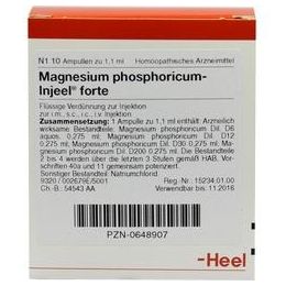 Heel Magnesium Phosphoricum Injeel forte Ampullen 10 St