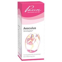 Pascoe Aesculus Similiaplex Tropfen 50 ml