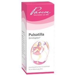 Pascoe Pulsatilla Similiaplex Tropfen 50 ml