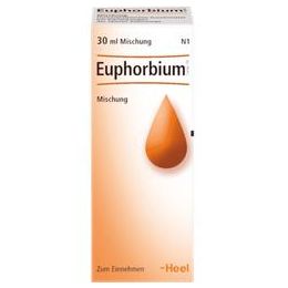 Heel Euphorbium Compositum SN Tropfen 30 ml