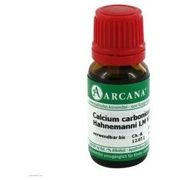ARCANA Calcium Carbonicum Hahnemanni LM 6 Dilution 10 ml