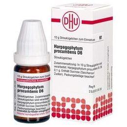DHU-Arzneimittel Harpagophytum Procumbens D 6 Globuli 10 g