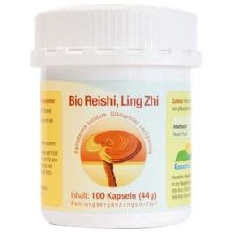 Allpharm Lingh ZHI Reishi 500 mg Kapseln 100 St