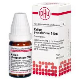 DHU-Arzneimittel Kalium Phosphoricum C 1000 Globuli 10 g