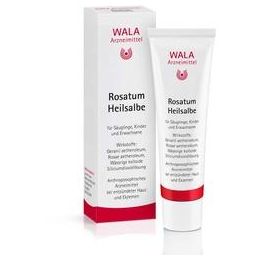 Dr. Hauschka Rosatum Heilsalbe 30 g