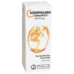 Pascoe Scrophularia Similiaplex Tropfen 50 ml