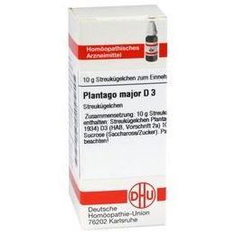 DHU-Arzneimittel Plantago Major D 3 Globuli 10 g