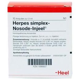 Heel Herpes Simplex Nosode Injeel Ampullen 10 St