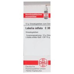 DHU-Arzneimittel Lobelia Inflata C 30 Globuli 10 g