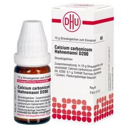 DHU-Arzneimittel Calcium Carbonicum Hahnemanni D 200 Globuli 10 g