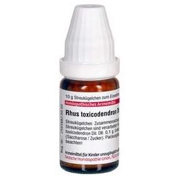 DHU-Arzneimittel Rhus Toxicodendron D 6 Globuli 10 g