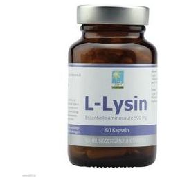 Apozen L-Lysin 500 mg Kapseln 60 St