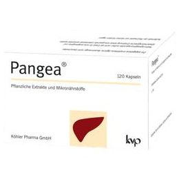 Köhler Pharma Pangea Kapseln 120 St