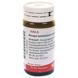 Dr. Hauschka Atropa belladonna e fructibus D 6 Globuli 20 g