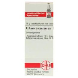 DHU-Arzneimittel Echinacea Purpurea D 2 Globuli 10 g