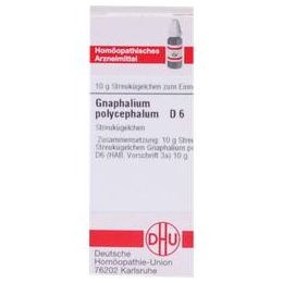 DHU-Arzneimittel Gnaphalium Polycephalum D 6 Globuli 10 g