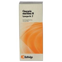 Kattwiga Synergon Komplex 2 Cineraria maritima N Tropfen 50 ml