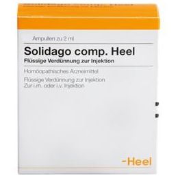 Solidago COMP.Heel Ampullen 100 St