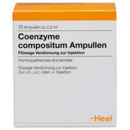 Heel Coenzyme Compositum Ampullen 10 St