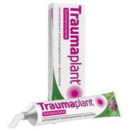 Klosterfrau Traumaplant Schmerzcreme 50 g