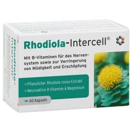 INTERCELL-Pharma GmbH Rhodiola-Intercell Kapseln 60 St