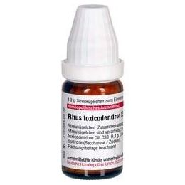 DHU-Arzneimittel Rhus Toxicodendron C 30 Globuli 10 g