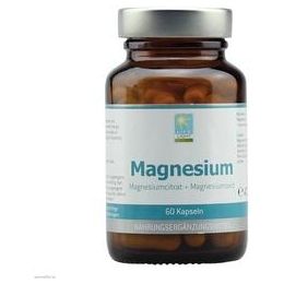 Apozen Magnesium 300 mg Kapseln 60 St